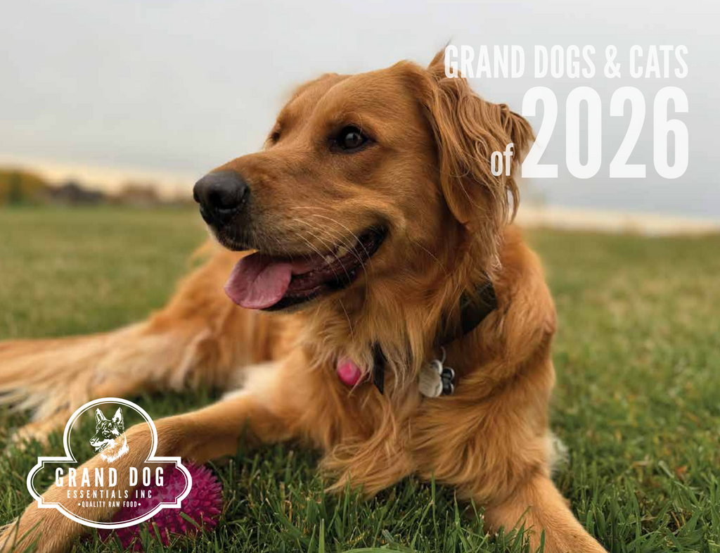 GRAND DOGS OF 2025 Calendar – Grand Dog Essentials