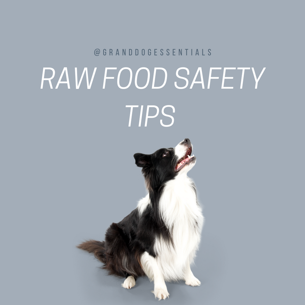 Raw Dog Food Safety 101: 7 Tips to Keep You and Your Dog Safe – Grand ...