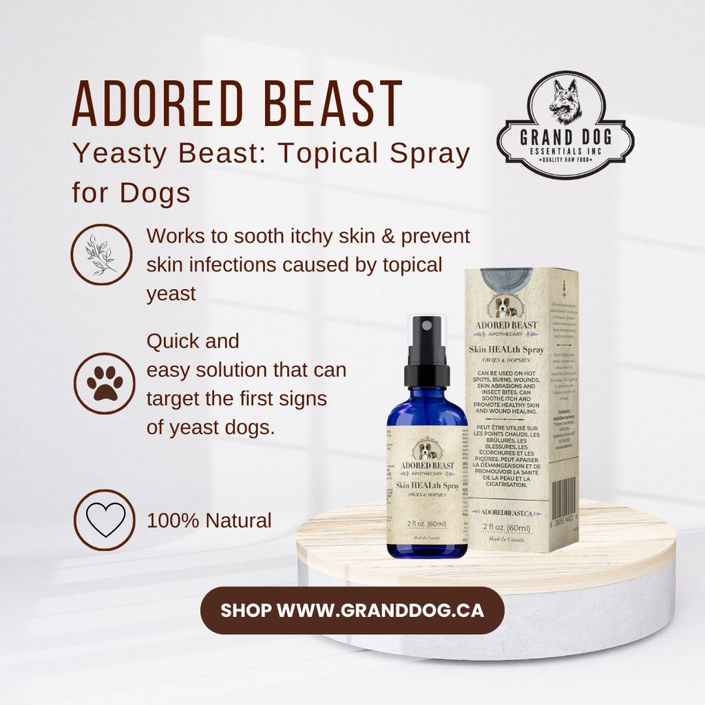 Adored Beast Yeasty Beast Topical Spray for Dogs – Grand Dog Essentials