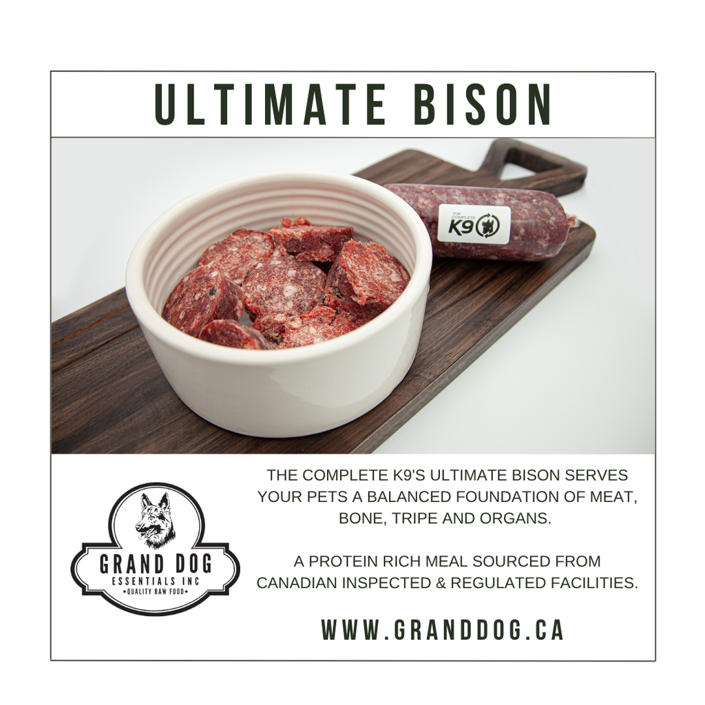 CK9 Ultimate Bison – Grand Dog Essentials