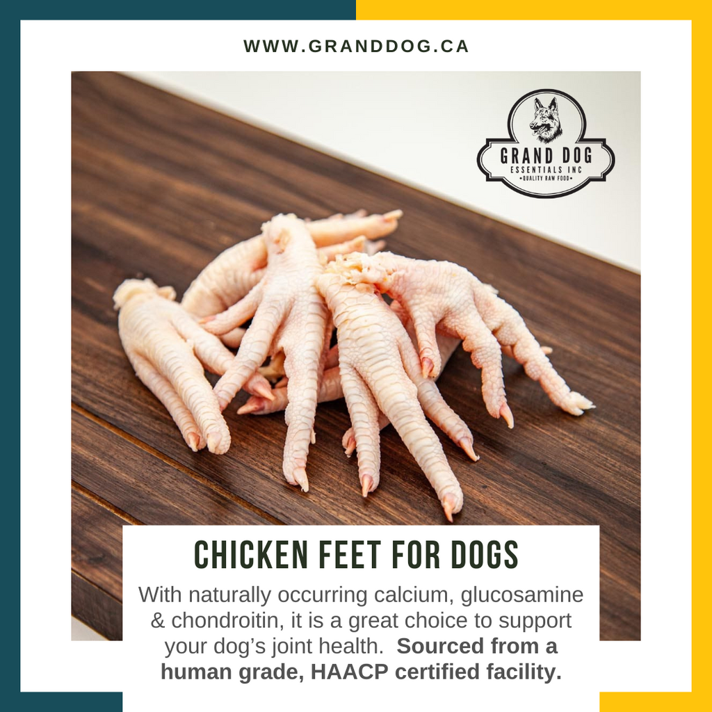 CK9 Chicken Feet for Dogs – Grand Dog Essentials