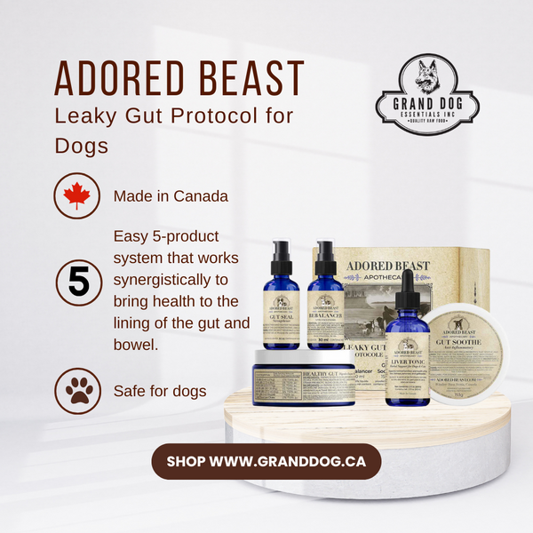 Adored Beast – Grand Dog Essentials