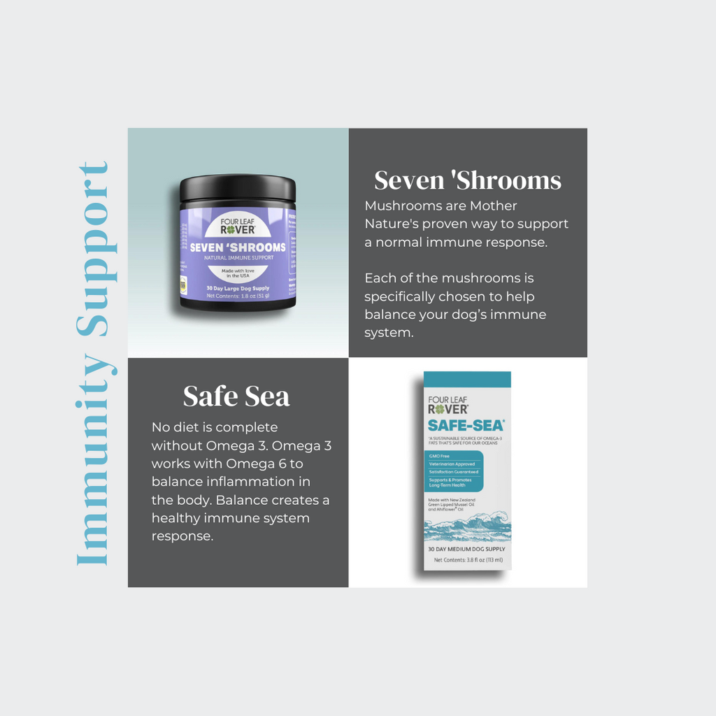 4LR BUNDLE: Immunity Support for Dogs – Grand Dog Essentials